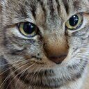 【艦これ】 手習い - 女〇にMB着せたい委員会🎒👙 (tm)の投稿｜ファンティア[Fantia]