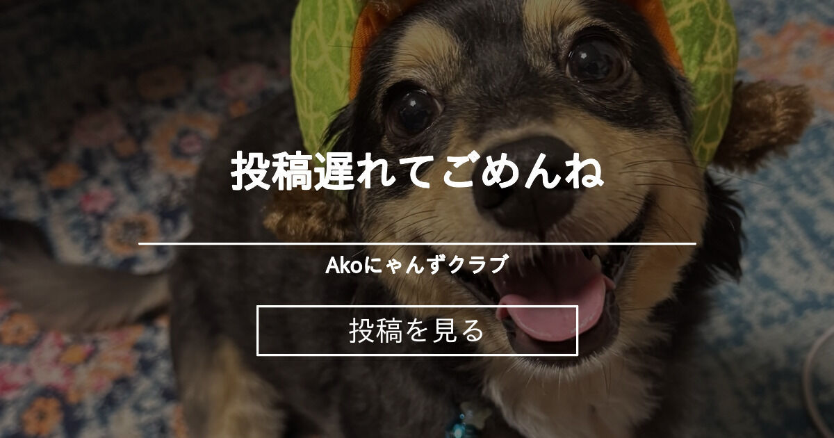 【Kカップ】 投稿遅れてごめんね🥹 - Akoにゃんずクラブ🐈🍒 (AkoPai)の投稿｜ファンティア[Fantia]
