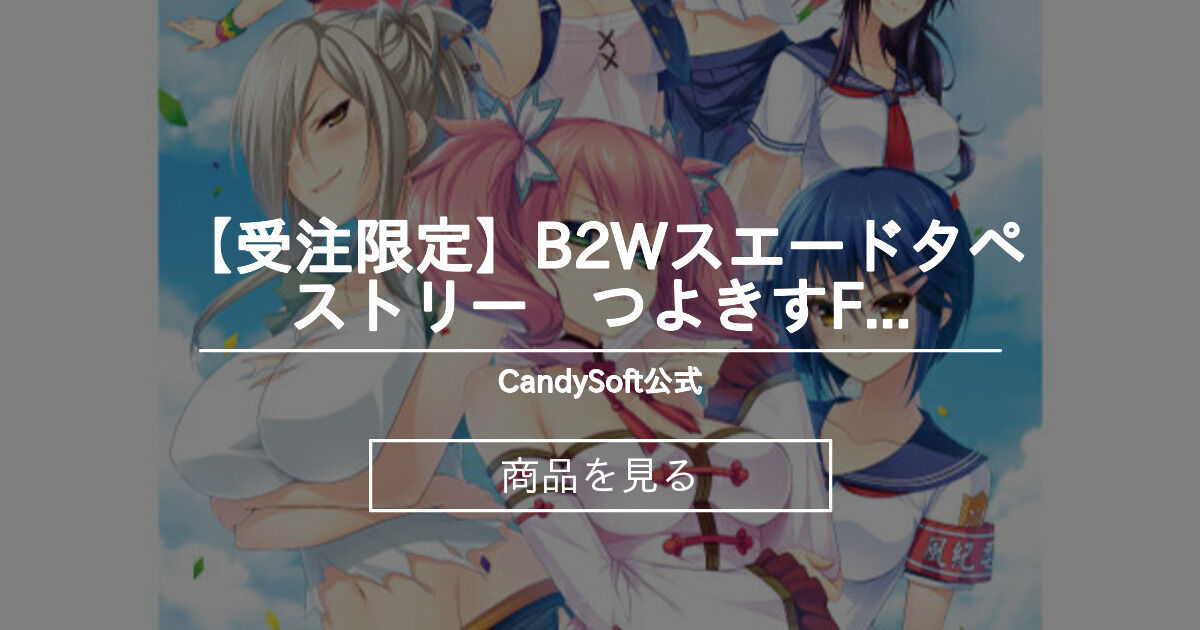 【受注限定】B2Wスエードタペストリー つよきすFESTIVAL - CandySoft公式 (CandySoft)の商品｜ファンティア[Fantia]