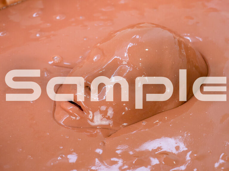 【フェチ写真集】 【静止画のみ】CHOCO-HOLiC 04 初芽 D-style Lab. (dstyle_ryo)の商品｜ファンティア ...