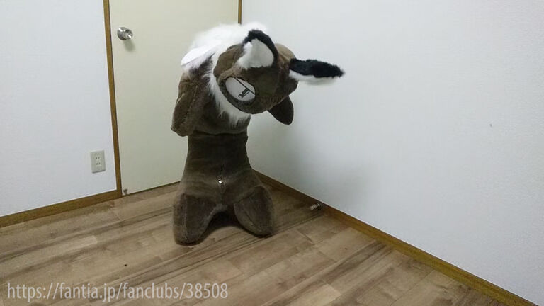 「ヒトイヌ着ぐるみ」の重ね着、体験してみませんか？ 「ヒトイヌのキツネ」を着る、着ぐるみ。 Fursuit is wearing ...