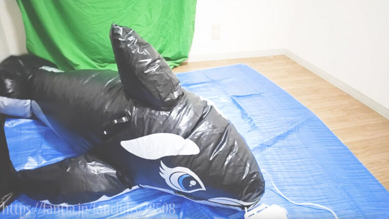 【シャチ】 【TF】シャチに丸呑みされて、同族にされたいですか...？ 「インフレータブルシャチ」に同族化...。Double layered ...