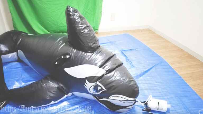 【シャチ】 【TF】シャチに丸呑みされて、同族にされたいですか...？ 「インフレータブルシャチ」に同族化...。Double layered ...